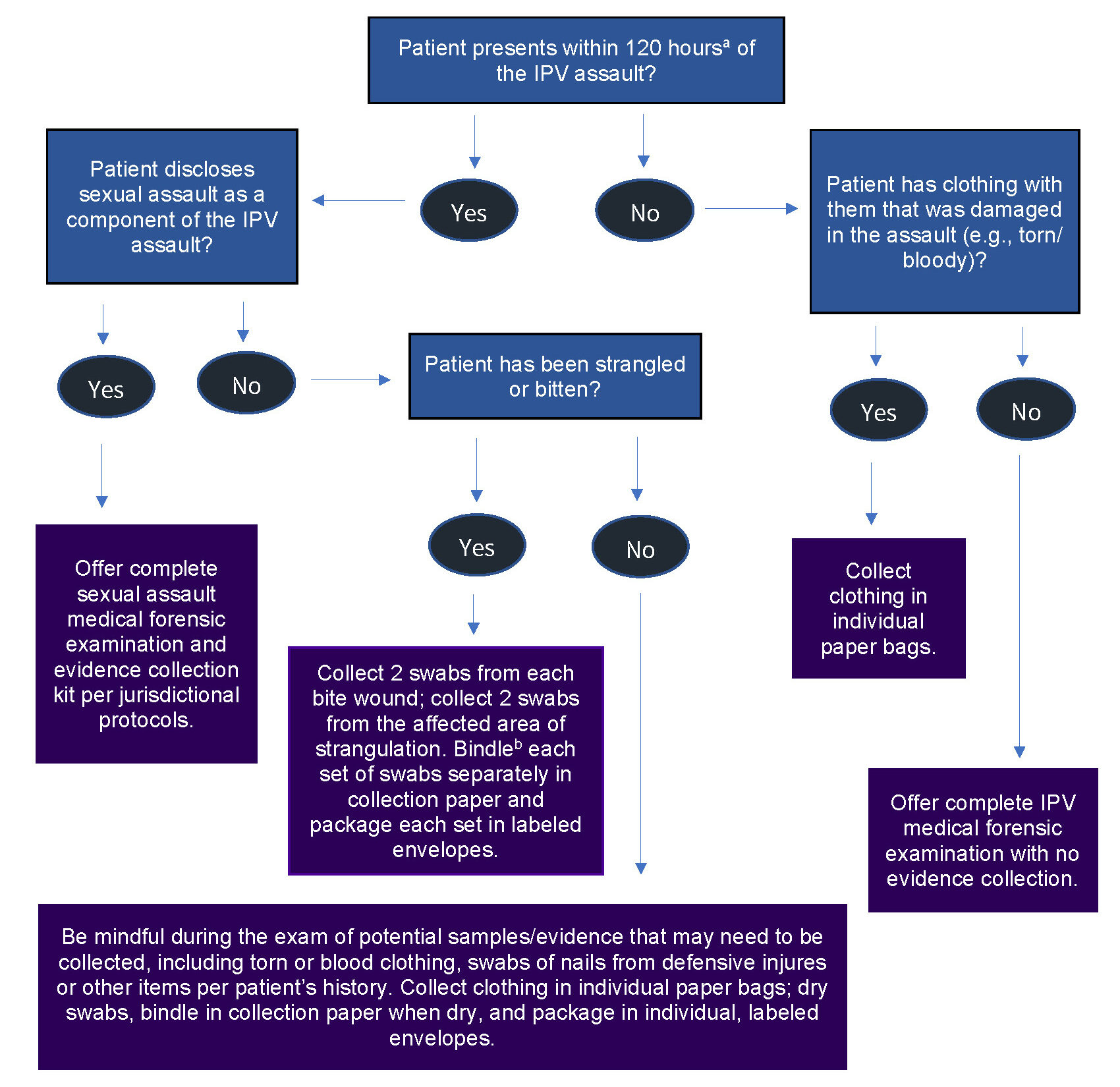 Module 4: Medical assessment and securing of evidence - Online training ...