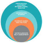 Module 5: Risk assessment and safety planning - Online training ...